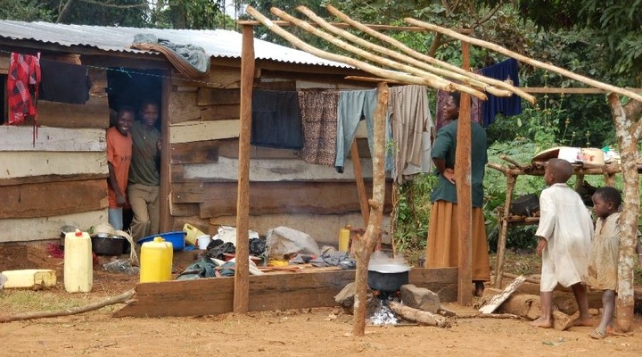 Vakantieverhaal 'Rondreis door Uganda' over Uganda | Reisgraag.nl
