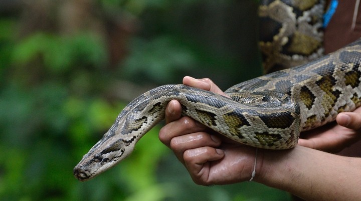 Ouidah (Benin): informatie & reizen | Reisbureau Reisgraag.nl