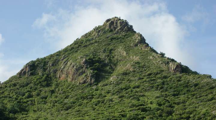 Top 5 excursies Curaçao