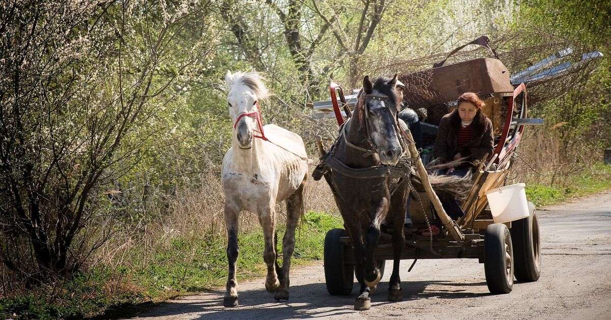 Zigeuners in Roemenië