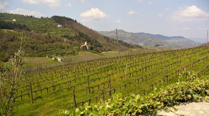 Vakantieverhaal 'La bella Toscana: een taalreis naar Italië' over ...