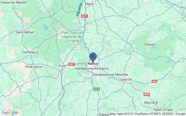 Nancy (Frankrijk): informatie & reizen