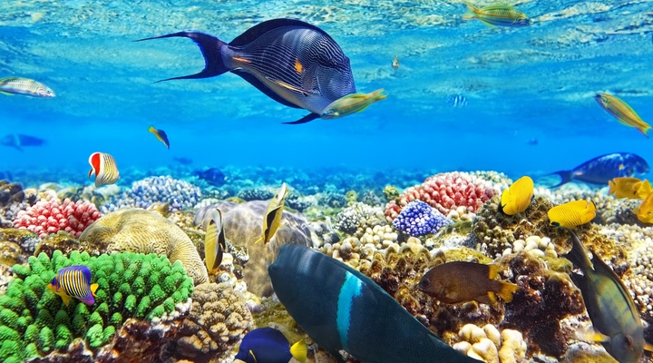 De mooiste plekken op aarde | Reisgraag.nl