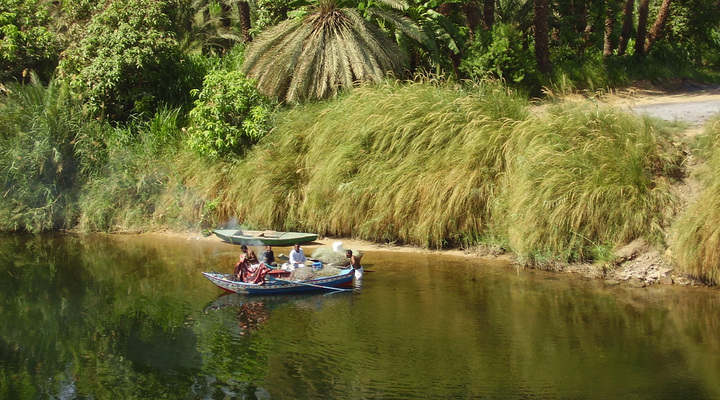 Vakantieverhaal over Egypte 'Wie eens van de Nijl drinkt…' | Reisgraag.nl